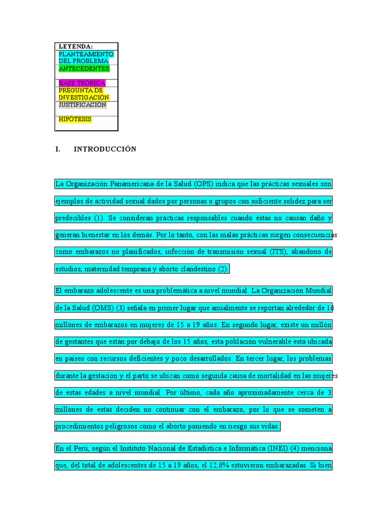 Ejemplo Redacción Introducción y Objetivos | PDF