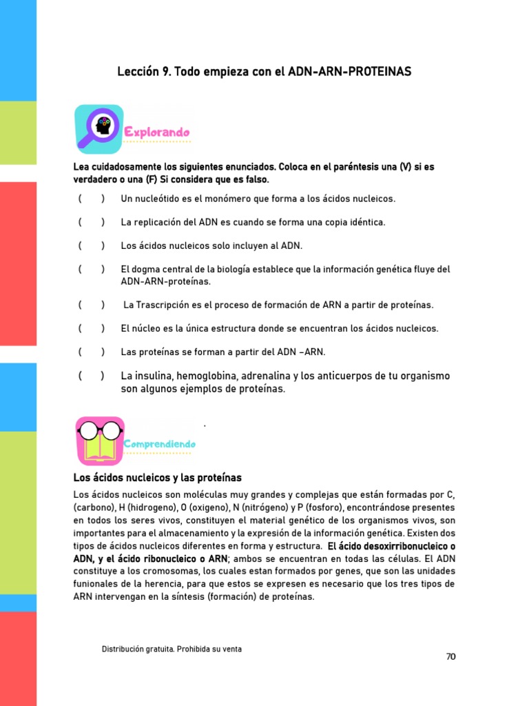 Adn, Arn y Proteinas | Descargar gratis PDF | Rna | Adn