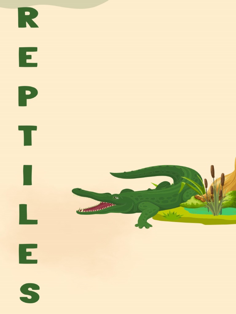 Reptiles | PDF | Reptil | Huevo