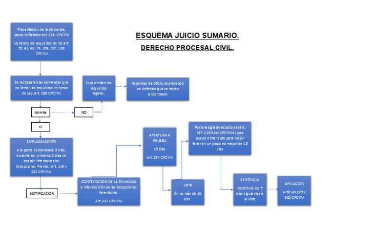 Esquema Juicio Sumario | PDF | Apelación | Ley constitucional