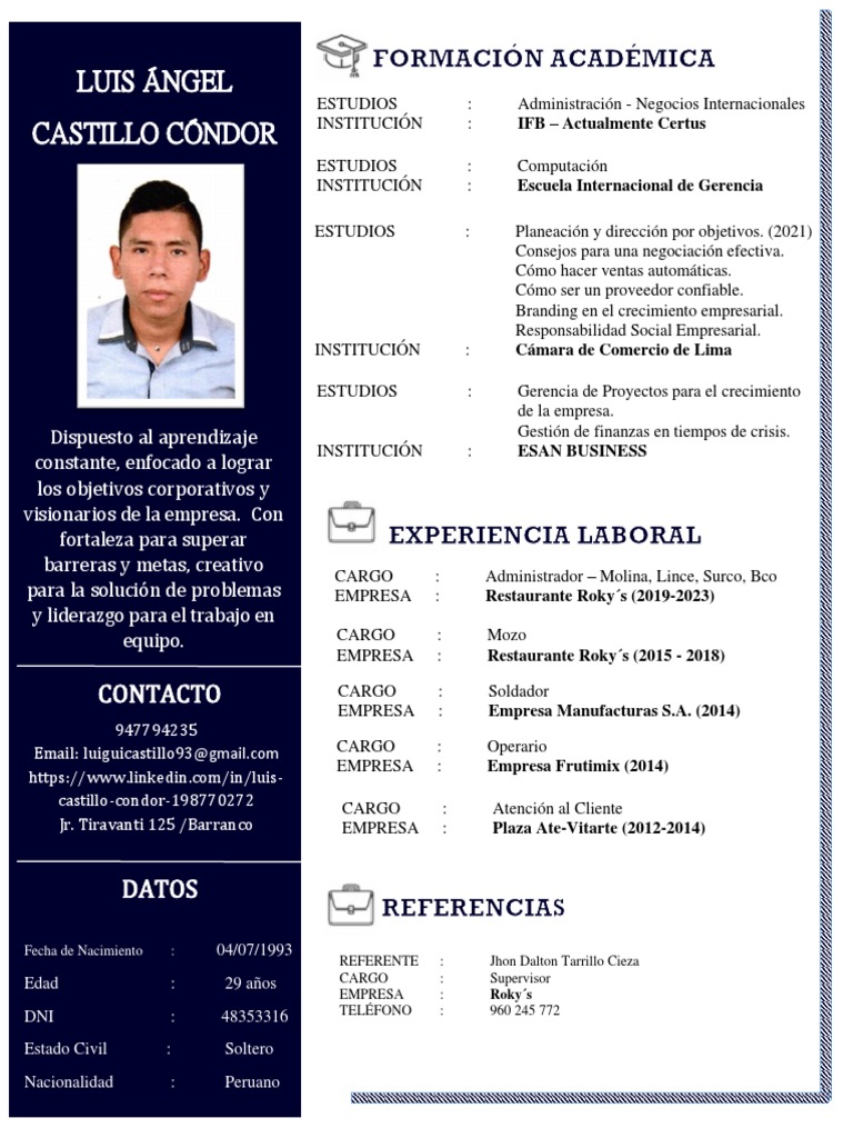 CV2023 Luis Castillo | PDF