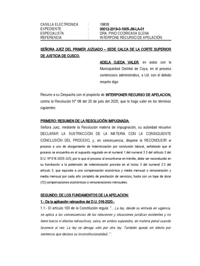 Recurso de Apelación | PDF | Caso de ley | Ciencias Políticas
