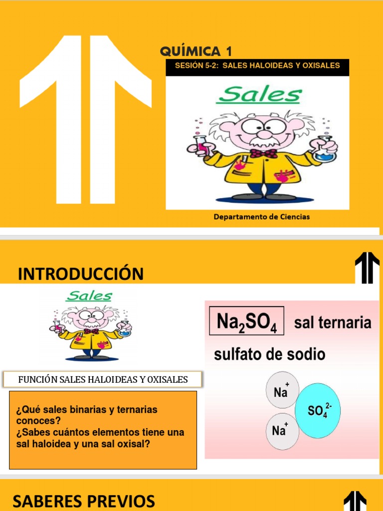 Sesion 5-2 Función Sales Haloideas y Oxisales | PDF | Sal (química) | Química