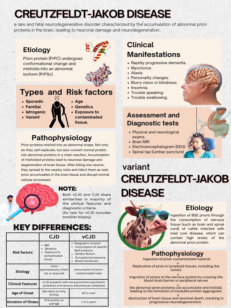 CJD&VCJD Summary | PDF