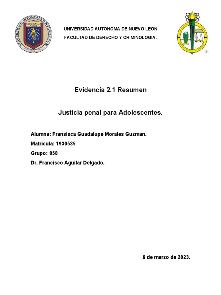 FGMG Ev2.1 Jpa | PDF