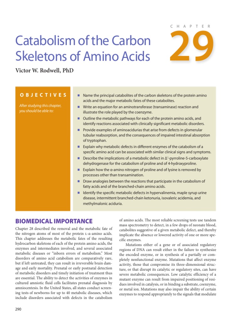 catabolismo del esqueleto de carbono | PDF | Amino Acid | Serine