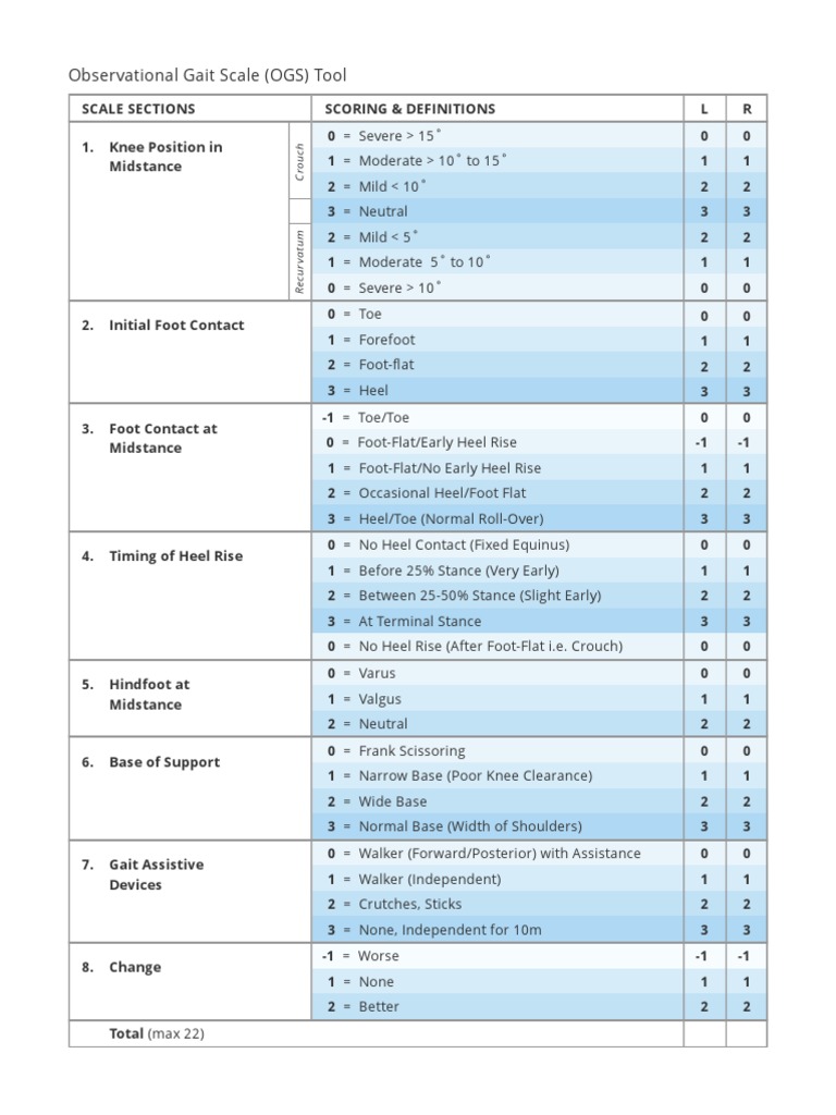 Ogs Printable Tool | PDF | Foot | Limbs (Anatomy)