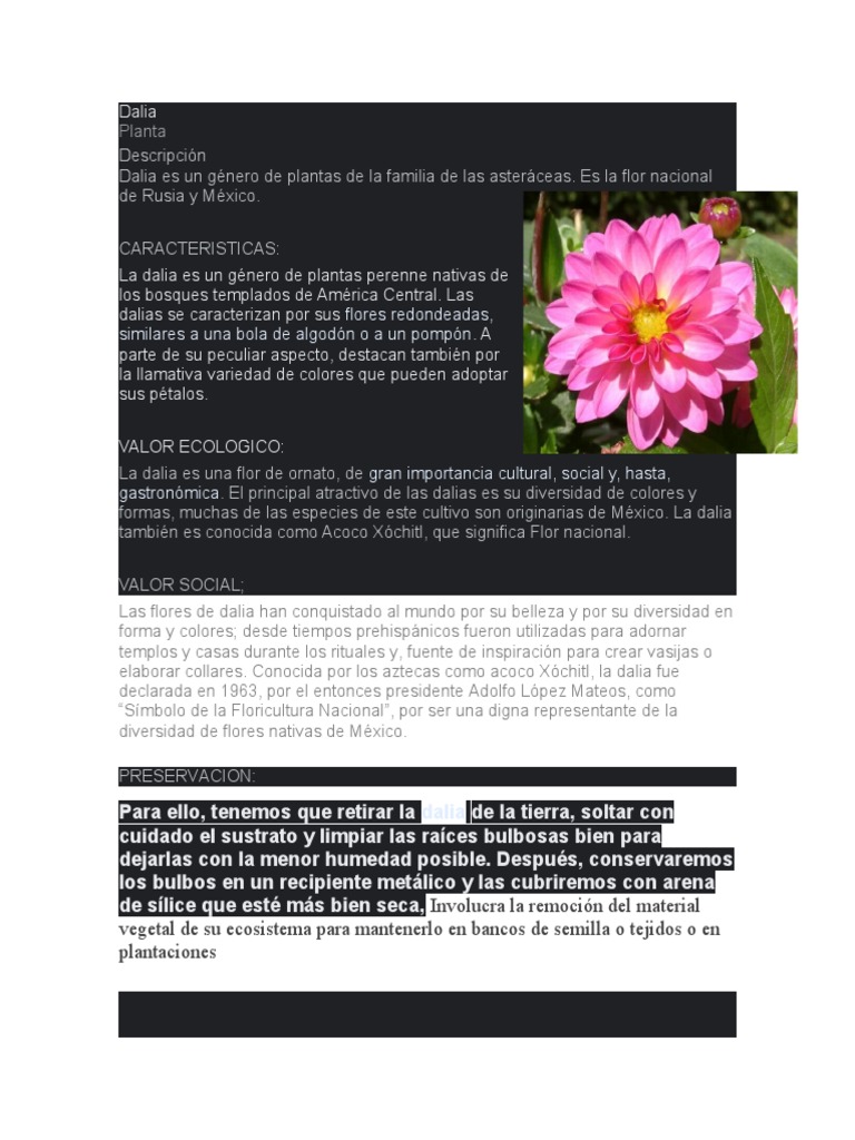 Dalia | PDF