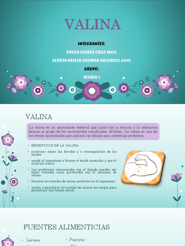 Diapositivas Valina y Vit B6 | PDF | Vitamina | Cereales