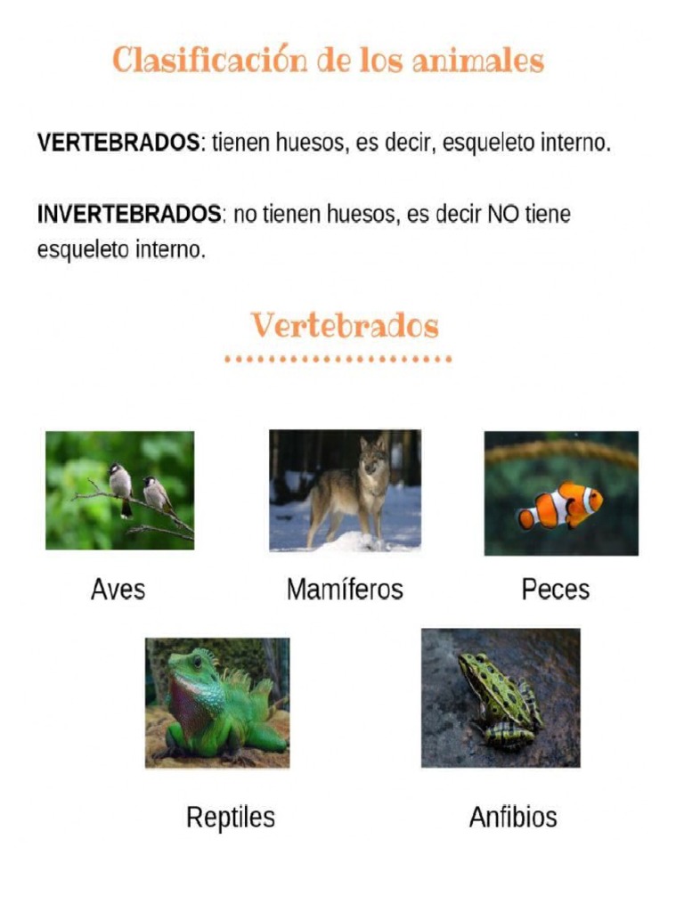 Clasificacion de Los Animales | PDF