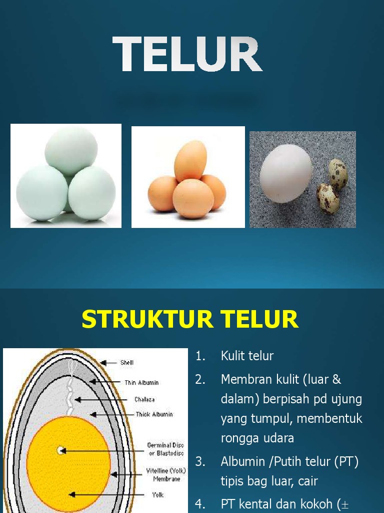 TELUR | PDF