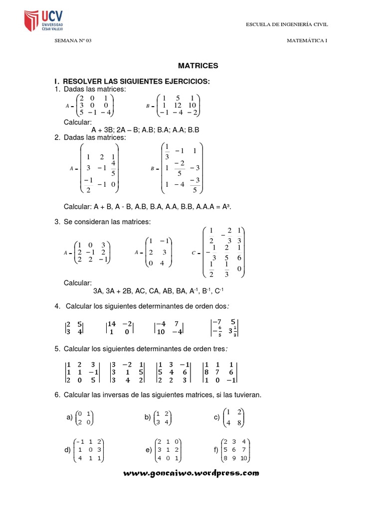 4.5 Hoja de Trabajo - Matrices | PDF | Física Matemática | Teoría de la matriz