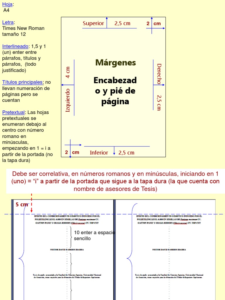 Formato de Tesis | PDF