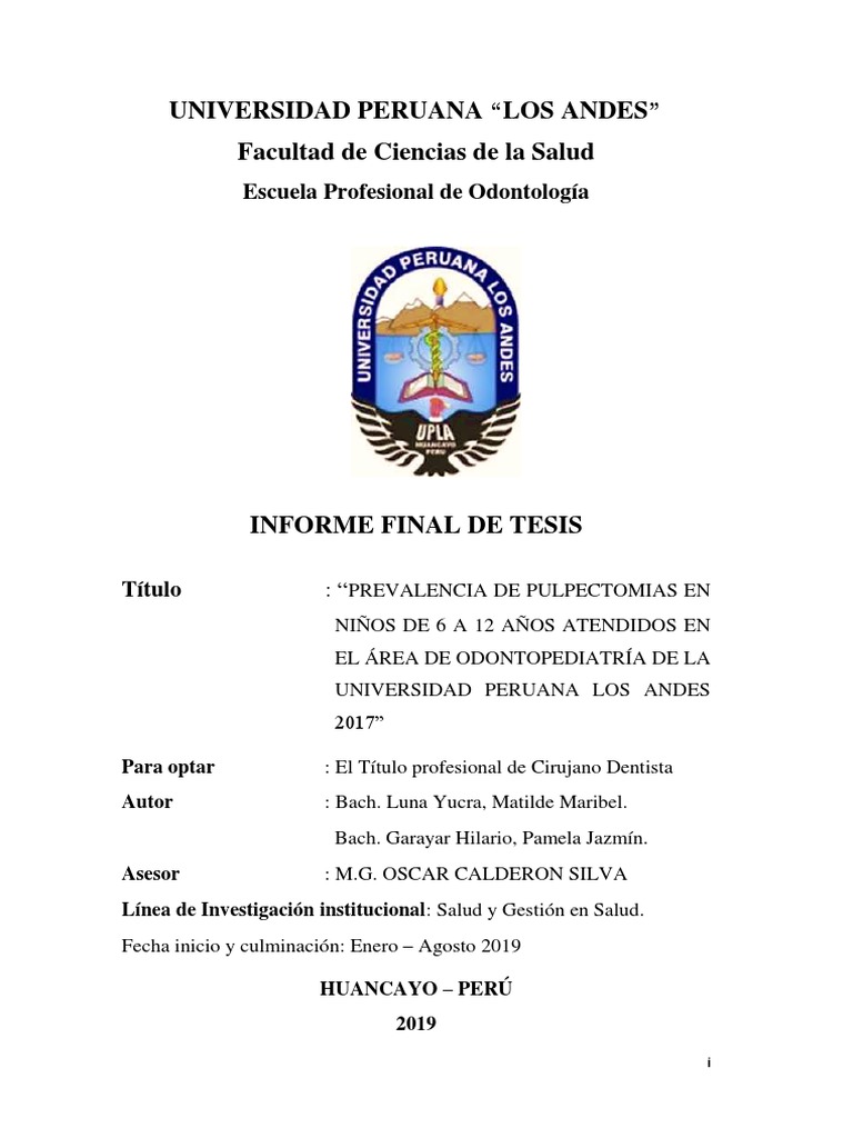 Tesis Final | PDF