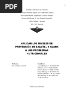 NIVELES DE LEAVELL Y CLARK Según La OMS | PDF | Asistencia sanitaria ...
