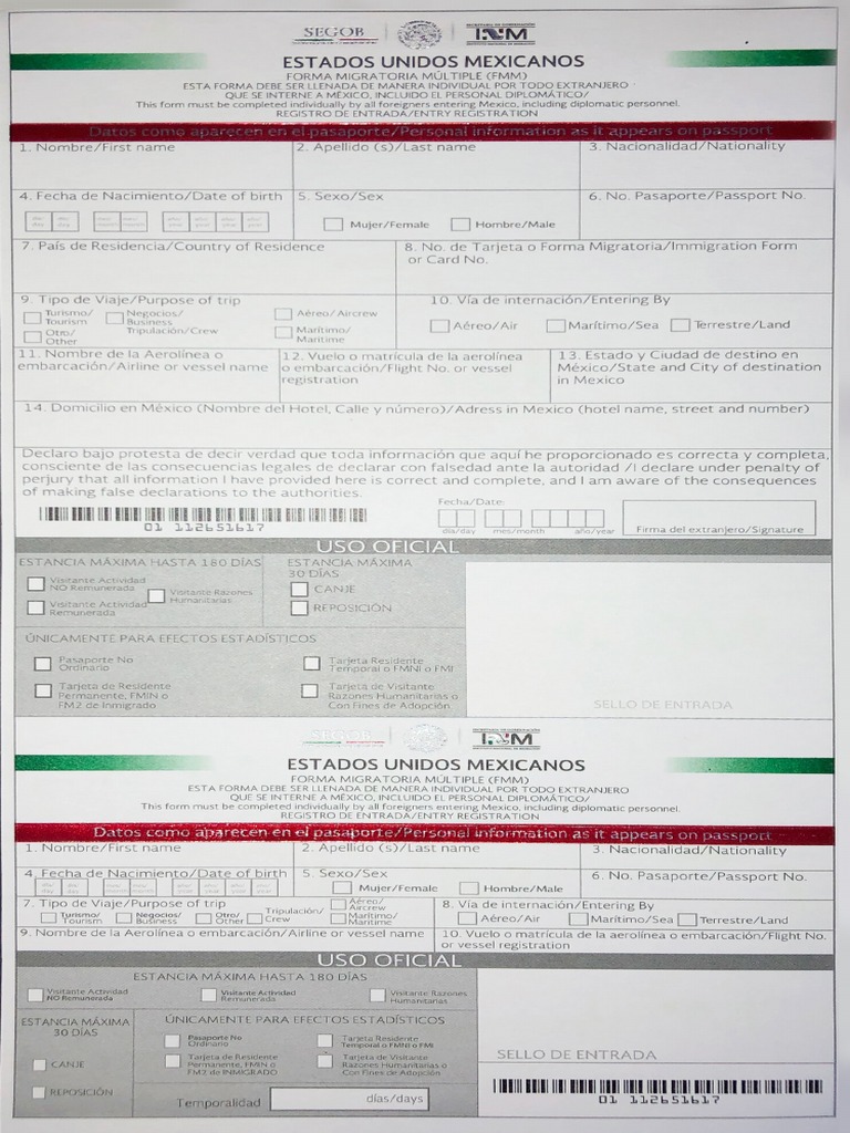 Mexican Customs Declarations Form Form FMM LosCabosAirport | PDF