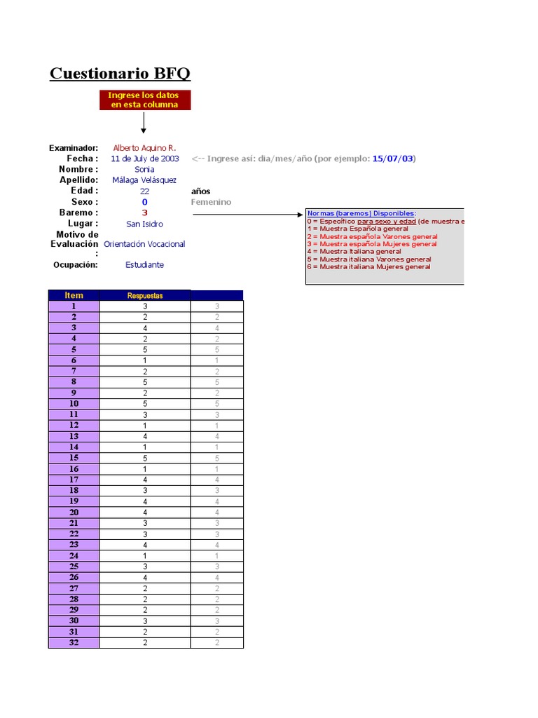 Matriz Big Five Questionnaire | PDF