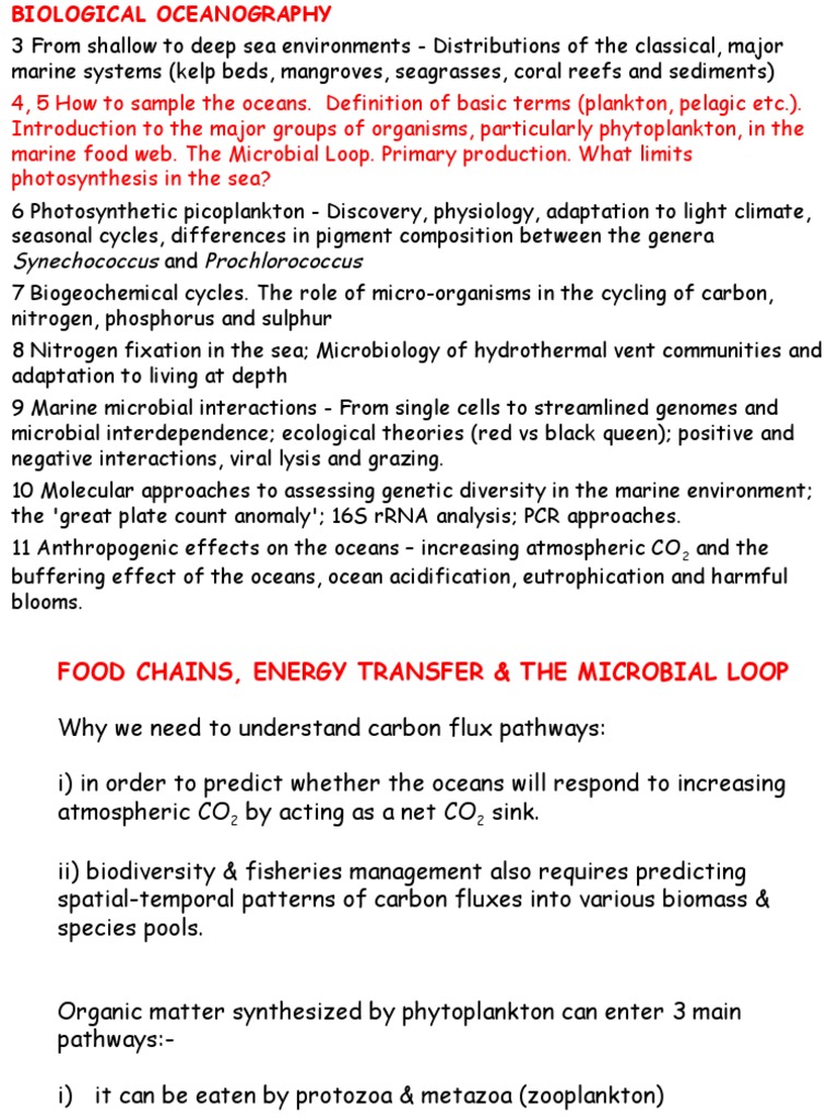 Biol Ocean20 5 | PDF | Phytoplankton | Food Web