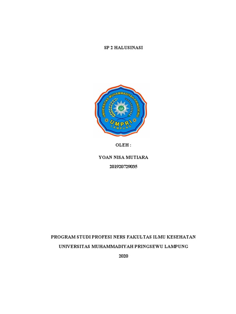 SP 2 Halusinasi | PDF