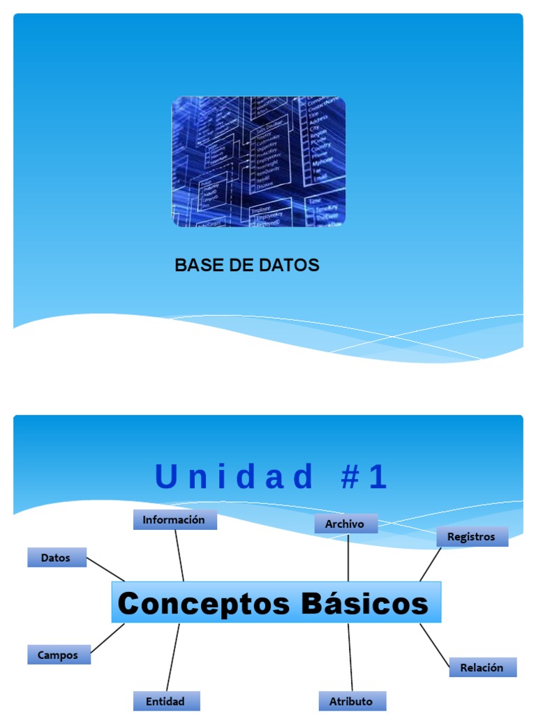 Presentacion Base de Datos | PDF | Negocios | Tecnología