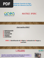Ejemplo de Matriz de IPERC | PDF | Riesgo | Evaluación de riesgos