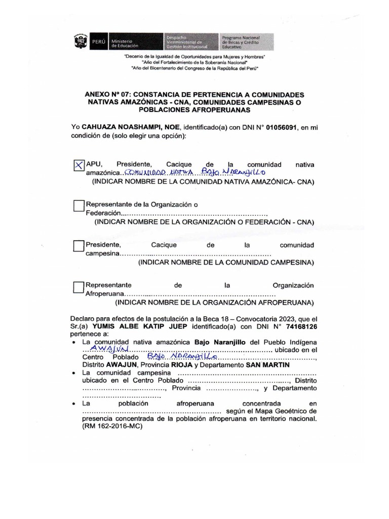 Anexo 7 Pronabec - 18 | PDF