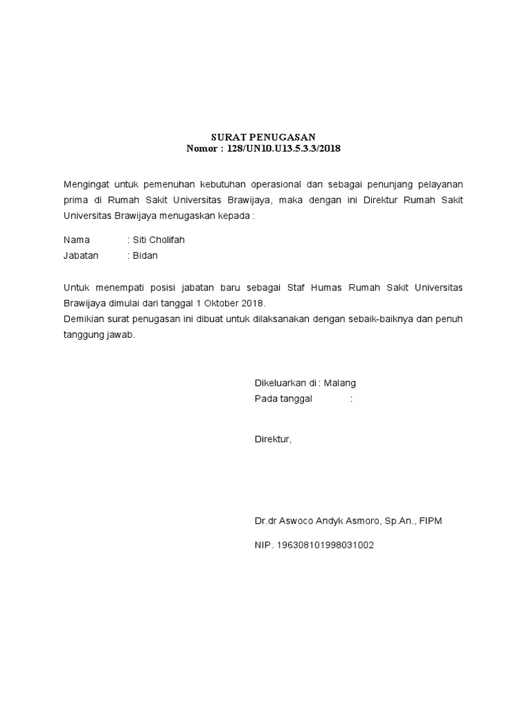 Surat Penugasan | PDF