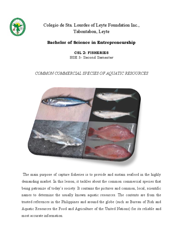Module 8 CSL 2 | PDF | Tuna | Fish