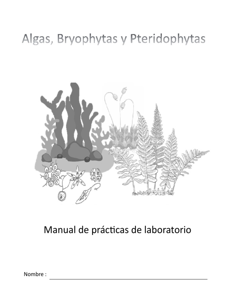 Manual ABP Prácticas 5 A 8 | PDF