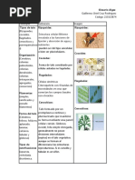 Conidios: Dispersión y Morfogénesis | PDF | Morfogénesis | Hongo