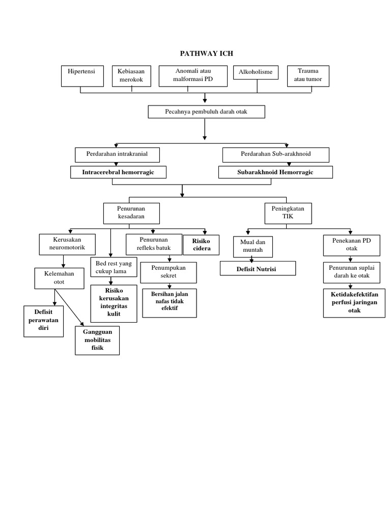 Pathway ICH edelweis | PDF