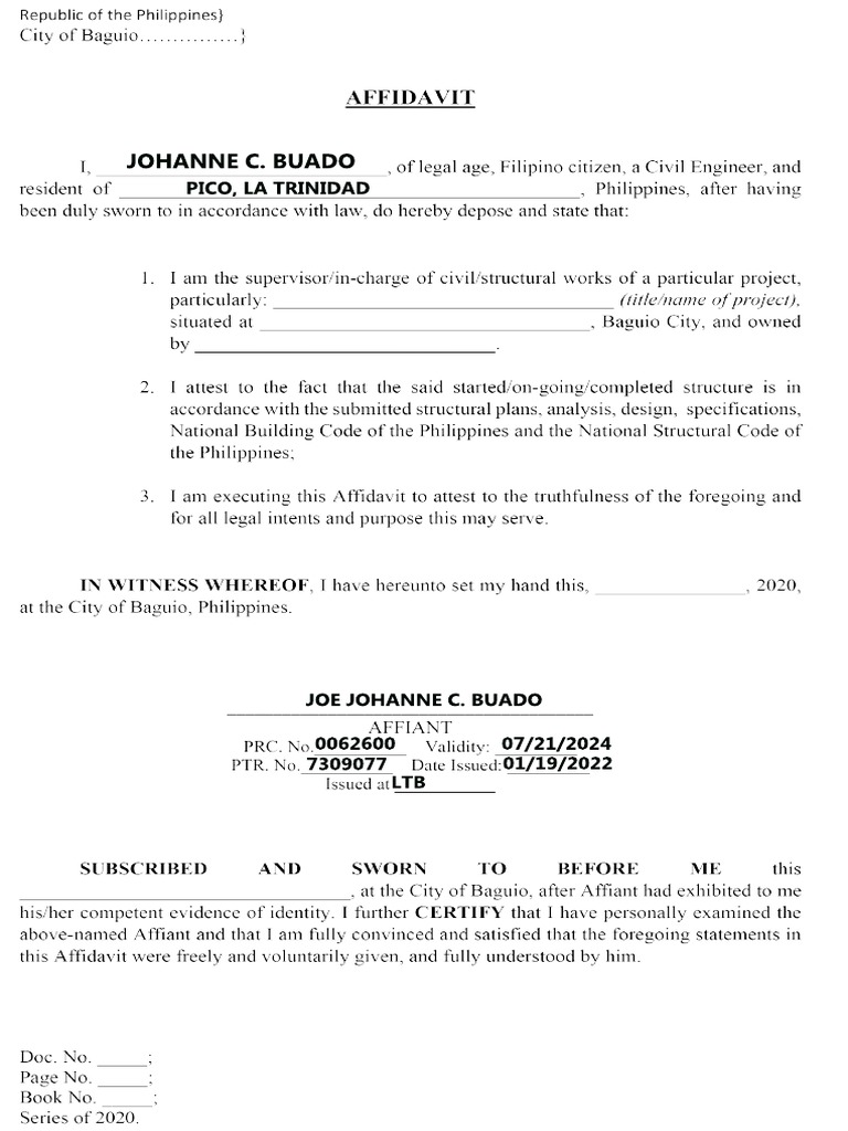 CIVIL-ENGINEER-AFFIDAVIT-updated - REFERENCE ONLY | PDF