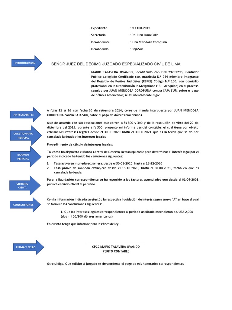 Informe Pericial | PDF