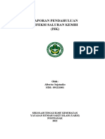Asuhan Keperawatan ISK pada Pasien | PDF