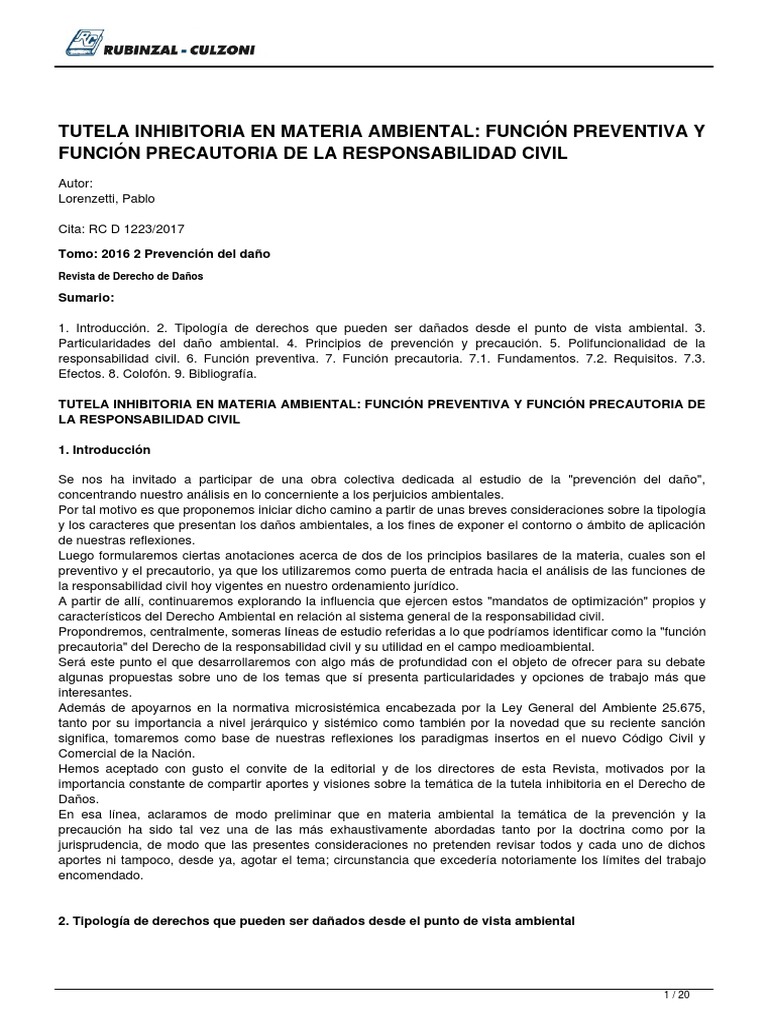 Lorenzetti | Descargar gratis PDF | Caso de ley | Daños y perjuicios