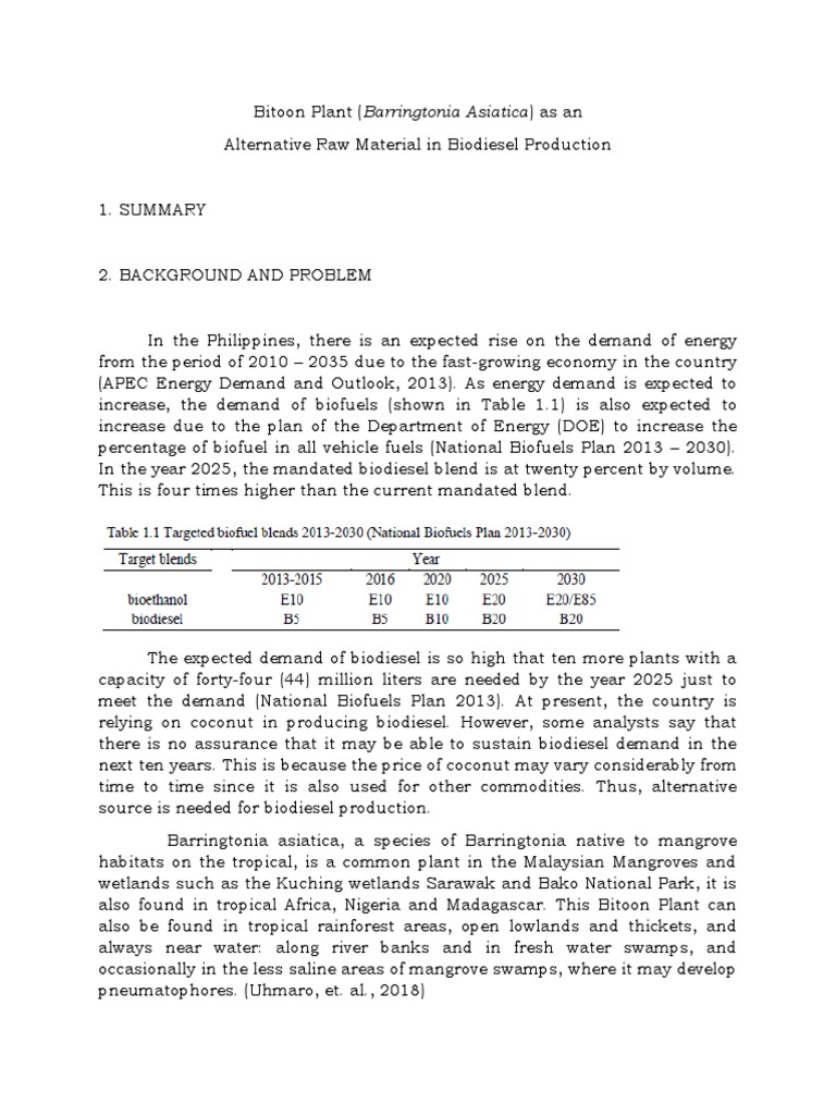 Bitoon Plant | PDF | Biodiesel | Renewable Energy