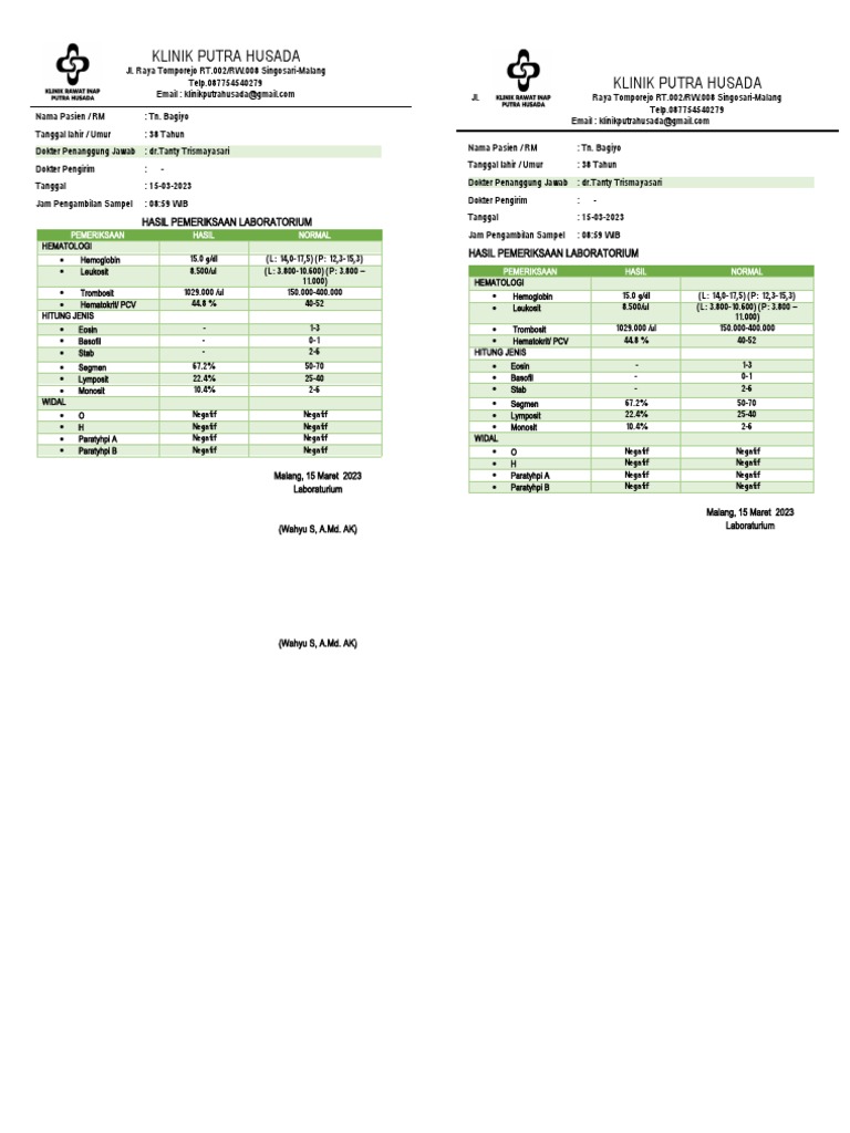 Lab Putra Husada | PDF