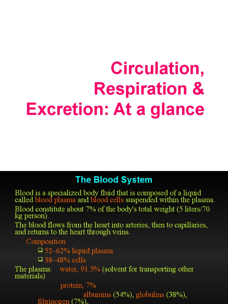 BIO 103 Circulation, Respiration, Excretion L12 Fall, 2018 | PDF ...