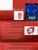 Patologías y Ecografía del Bazo | PDF | Metástasis | Bazo