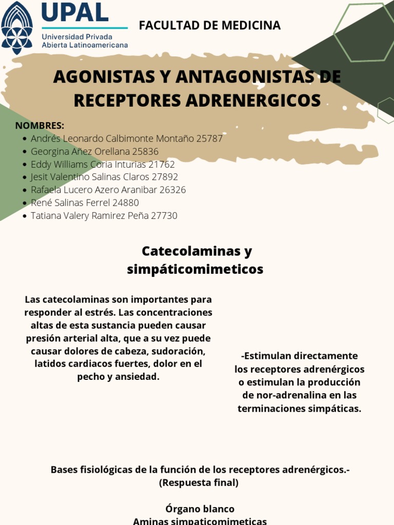 Agonistas y Antagonistas de Receptores Adrenergicos | PDF