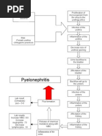 UTI Pathophysiology Flowchart | PDF | Urinary Tract Infection | Urinary ...