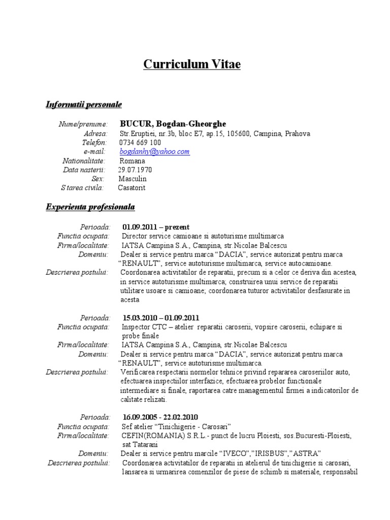 CV Bogdan Bucur | PDF