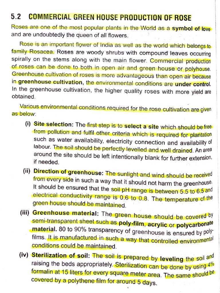 BSC Botany | PDF | Greenhouse | Rose