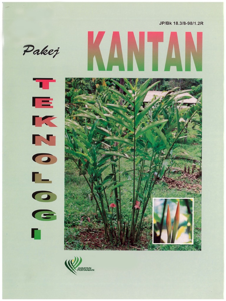 Bunga Kantan | PDF