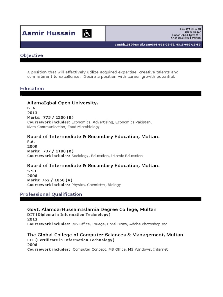 Resume - Aamir Hussain | PDF
