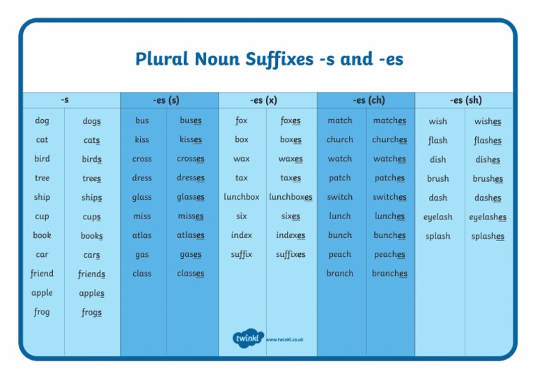 T L 52063 Year 1 Spag Plural Noun Suffixes S and Es Word Mat Ver 9 | PDF