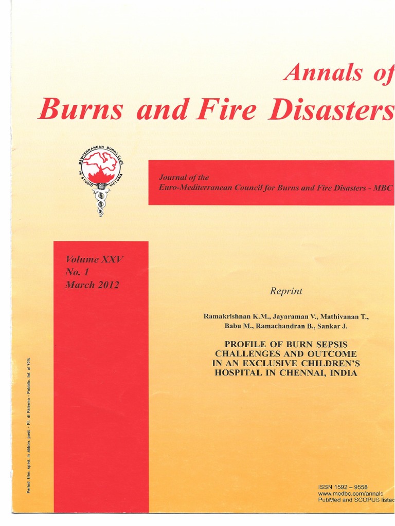 Profile Burn Sepsis - Ramakrishnan - Annals Burns Fire Disasters 2012 | PDF