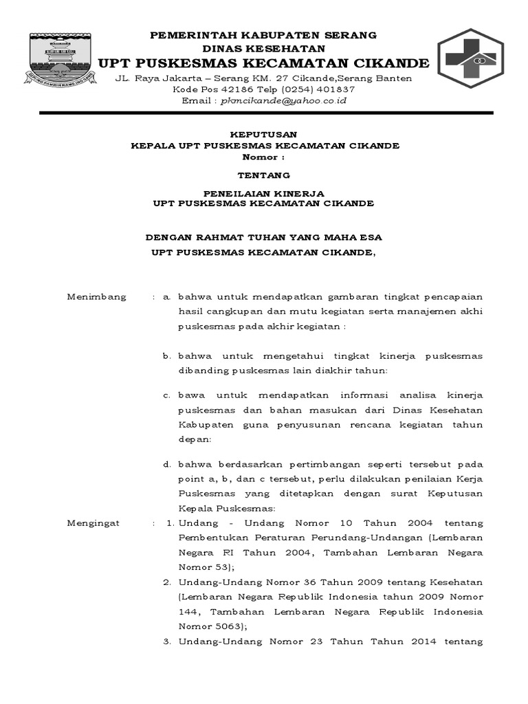 SK Penetapan Tim Penanggung Jawab Dan Pelaksana | PDF