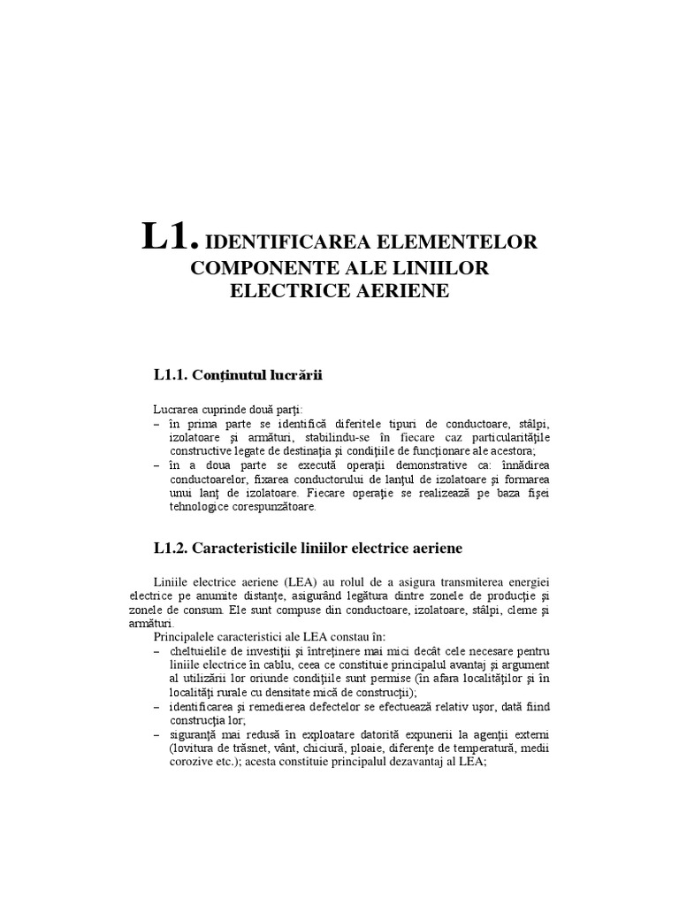 L1 Elemente Componente LEA | PDF