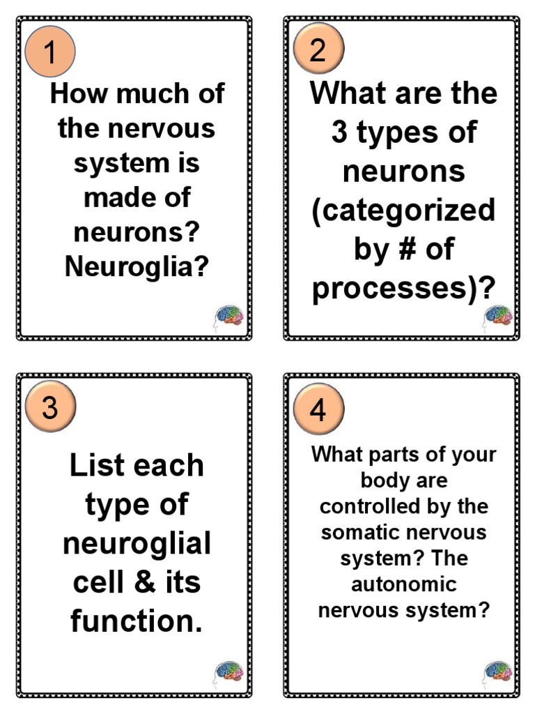 Editable Task Cards | PDF | Nerve | Nervous System